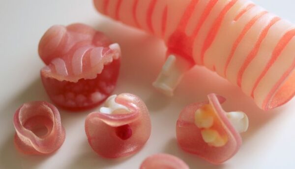 Simpath über hochrealistische 3D-gedruckte Trachealmodelle für die ...