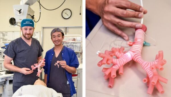 Simpath über hochrealistische 3D-gedruckte Trachealmodelle für die ...