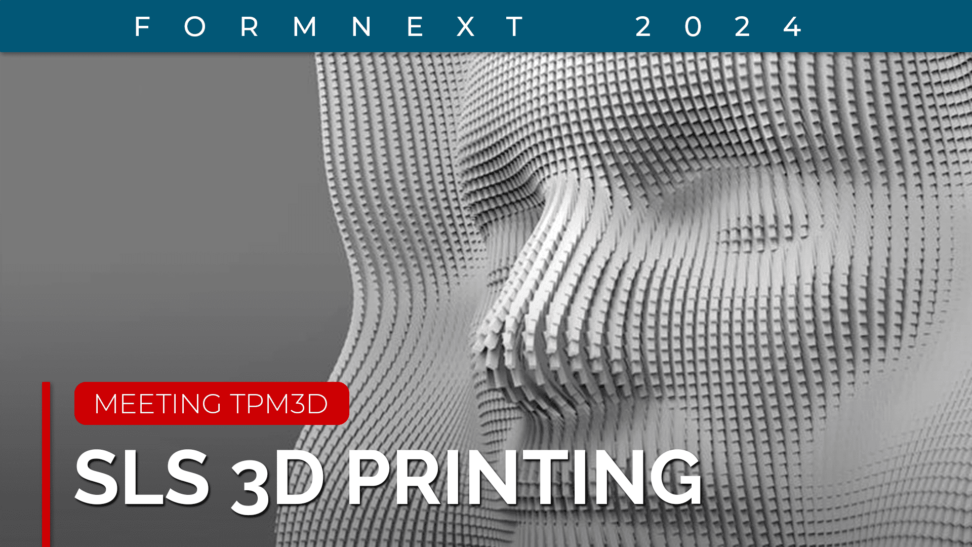 TPM3D demonstriert das Potential des großformatigen SLS-3D-Drucks auf der Formnext 2024 - 3Dnatives