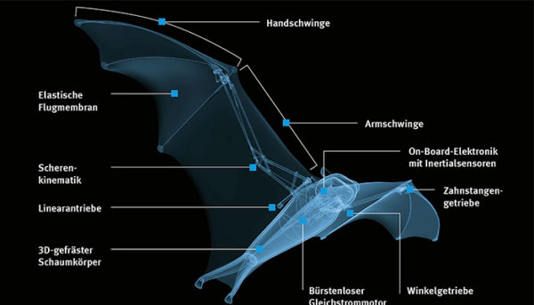 Festos Bionik-Team und seine 3D-gedruckten Roboter(tiere) - 3Dnatives