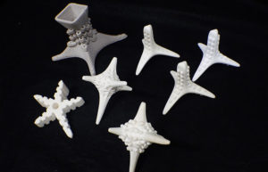 Restoring coral reefs with 3D printing - 3Dnatives