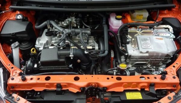 All You Need to Know About PESU in 3D Printing - 3Dnatives