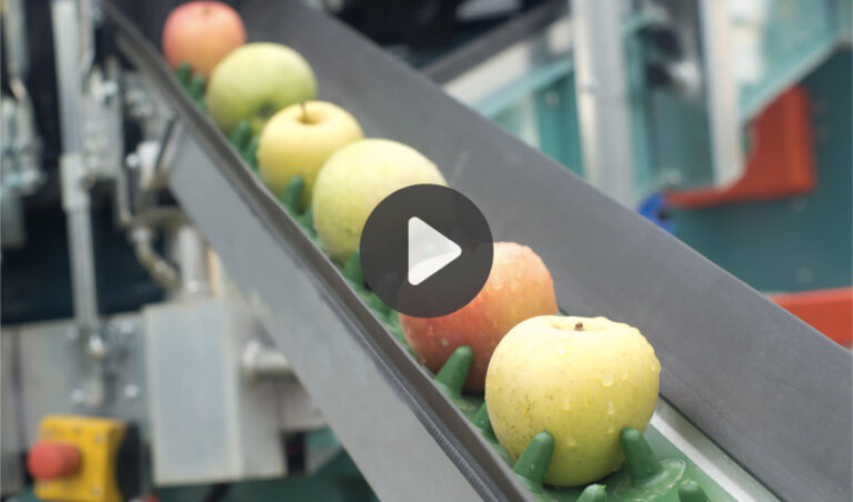 Top 5 Videos: 3D Technology Used in Food Production Plants - 3Dnatives
