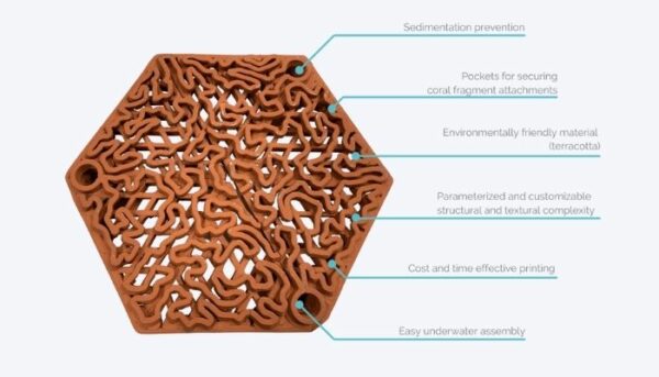 ArchiREEF 3D-Printed Terracotta Tiles Restoring Coral Reefs - 3Dnatives