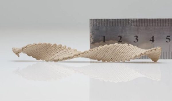New Innovation Enables 3D Printed Wood to Dry into Shape - 3Dnatives