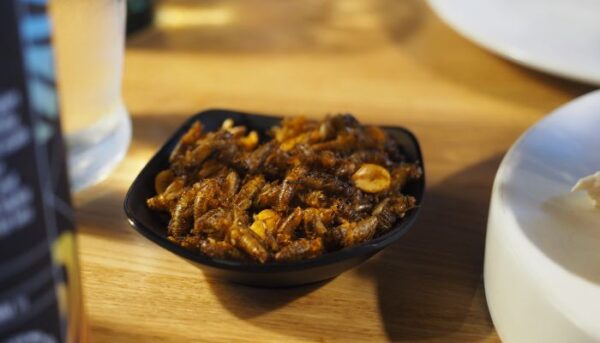 Could 3D Printed Foods Made With Alternative Protein Sources Like ...