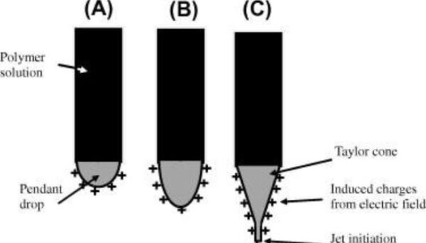 Edible 3D Printed Inks for Scaffolding of Cultured Meat - 3Dnatives