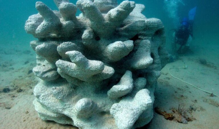 D-Shape on Using 3D Printing to Support Biodiversity in our Oceans ...