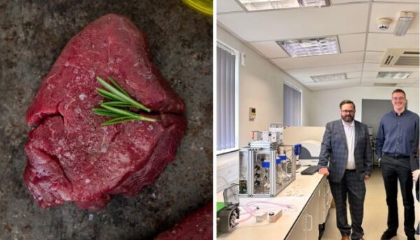 Animal Alternative Technologies Uses 3D Printing for Ethical Meat ...