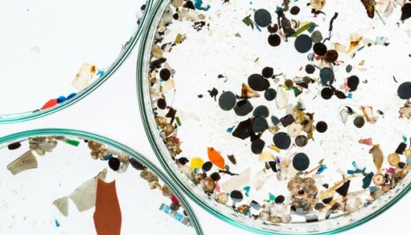 Cleanr Is Creating Microplastic Filters for Washing Machines Using 3D ...