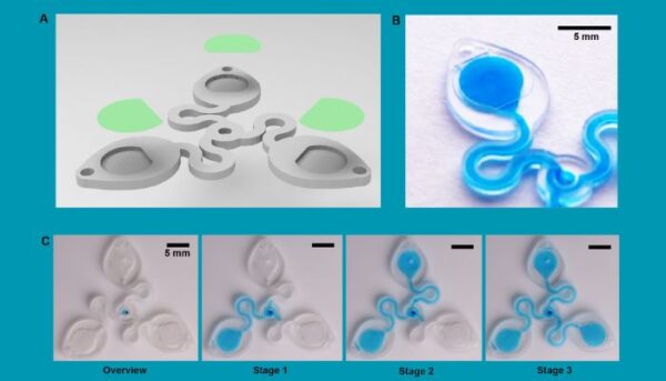 A New 3D Printed Sweat Sensor Could Help Monitor Health - 3Dnatives