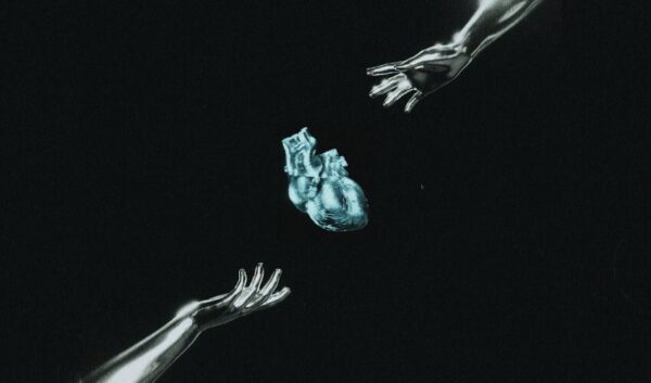 Bioprinting Under the Microscope: Are the Current Standards Ethical ...