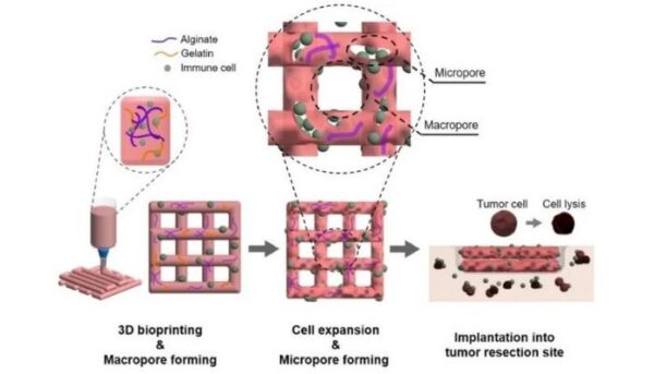 3D Bioprinting Could Make Cancer Treatment More Effective - 3Dnatives