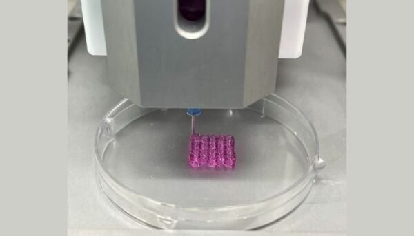 3D Bioprinting Could Make Cancer Treatment More Effective - 3Dnatives