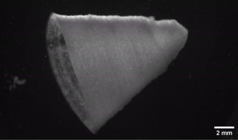 3D Printed Heart Can Beat With New Fiber-Infused Ink - 3Dnatives