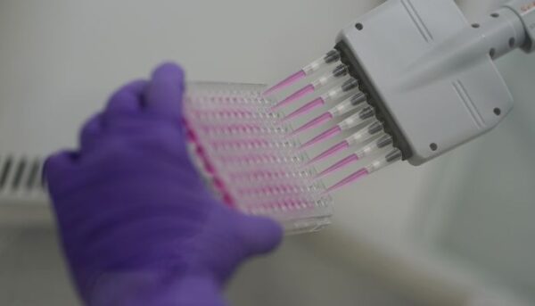 #3DStartup: Carcinotech 3D Prints Tumors for Better Cancer Research ...