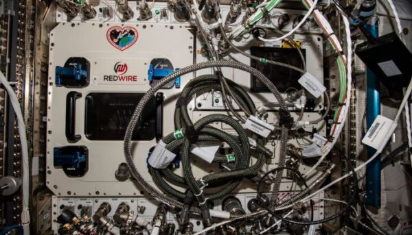 Redwire Has 3D Bioprinted the First Human Knee Meniscus in Space ...