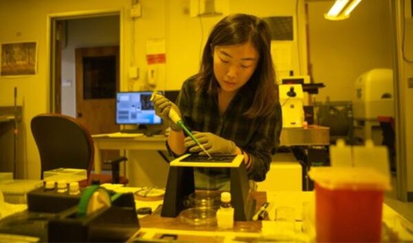 Caltech Progresses Research Into Nanoscale 3D Printed Metals - 3Dnatives