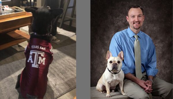 Veterinary 3D Printing Helps in Dog's Hip Surgery - 3Dnatives