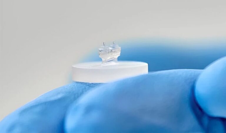 Understanding the Complexity of the Human Heart with 3D Bioprinting ...