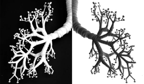 Frontier Bio on Overcoming the Organ Shortage With 3D-Printed Human ...