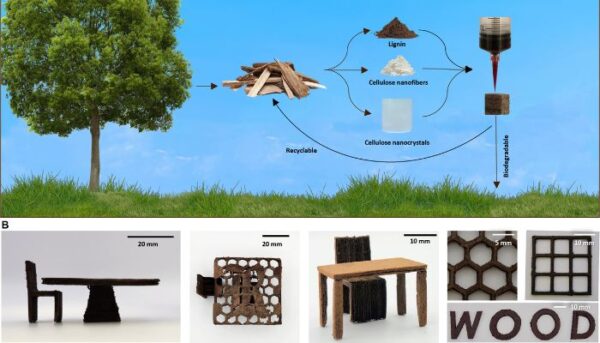 New 3D Printed Wood Heralded as Greener Alternative to Traditional ...