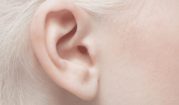 Cornell Revolutionizes Realistic Ear Grafts With 3D Printed Ear - 3Dnatives
