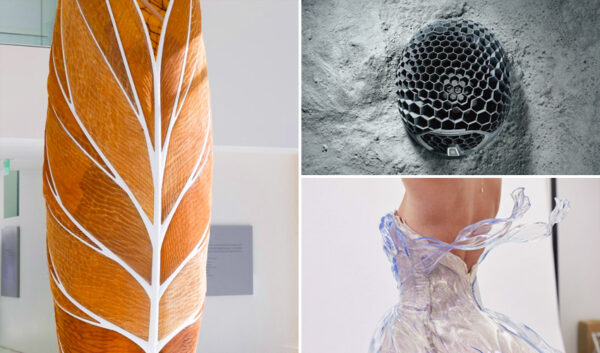 The Top Biomimicry Projects Using 3D Printing - 3Dnatives