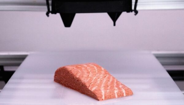 The Role of 3D Printing in Ocean Conservation - 3Dnatives