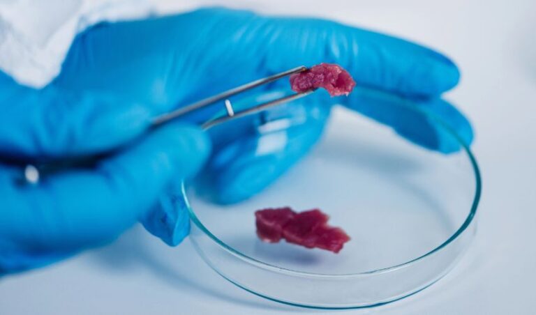 New 3D Printed Chip Could Help Prevent Spread of Foodborne Illnesses ...