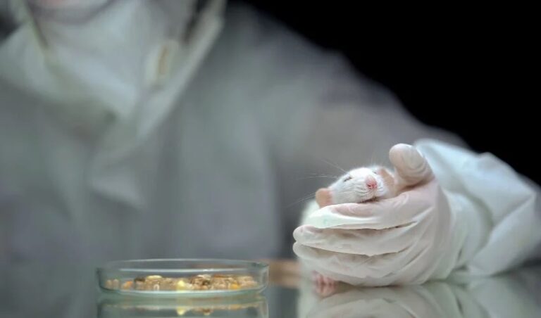 $1.8M in Funding Given to 3D Print 'Organ-on-a-Chip' to Eliminate ...