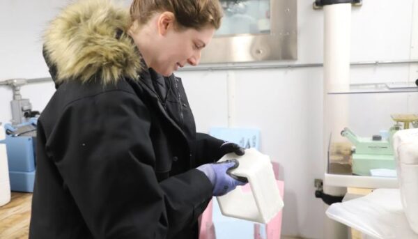 3DExpress: 3D Printed 'Ice Dollhouse' to Pave the Way for Construction ...