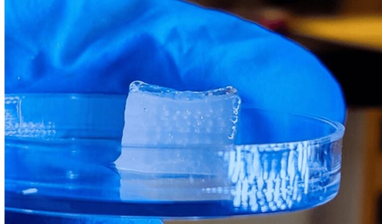 New Bioprinting Technique Prints Tissue 10 Times Faster - 3Dnatives