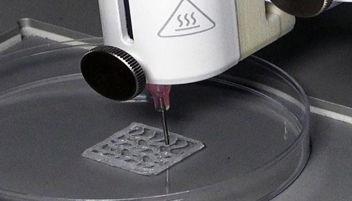 Bioink Manufacturers: What's on the Market? - 3Dnatives