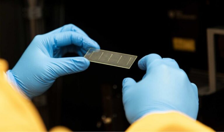 How Researchers Are 3D Printing Blood Vessels to Understand Strokes ...