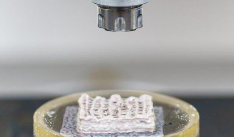 CompagOs Explores 3D-Printed Bone Models for Early Bone Disease ...