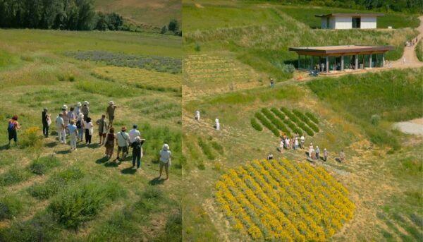WASP and Olfattiva Open Shamballa, a 3D-Printed Farm and Research Site ...