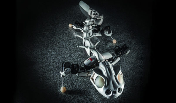 Biorobotics; creating robots that mimic the movements of nature - 3Dnatives