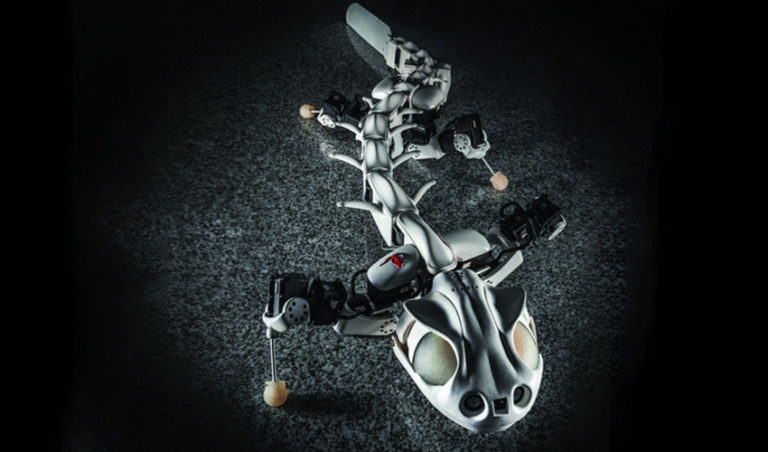 Biorobotics; creating robots that mimic the movements of nature - 3Dnatives