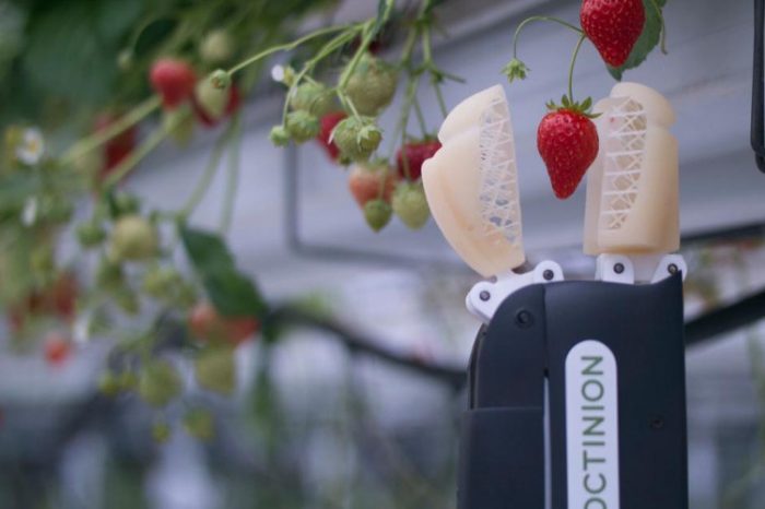 TOP 10 low cost 3D scanners - 3Dnatives