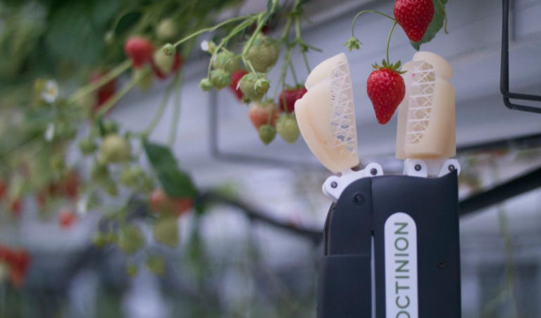 Octinion: The 3D Printed Strawberry-Picking Robot - 3Dnatives