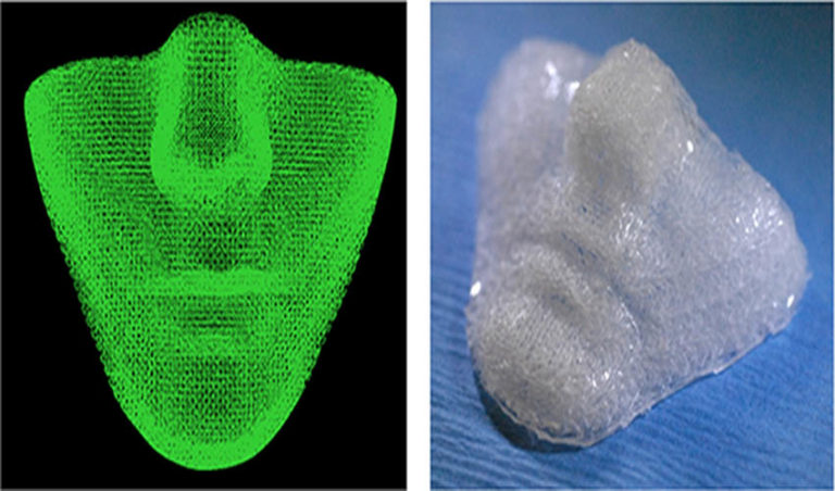 A team from the Wake Forest Institute for Regenerative Medicine 3D ...