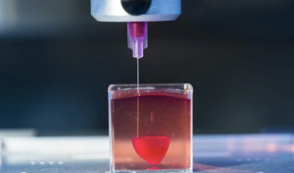 Researchers 3D print a heart with human tissue and blood vessels ...