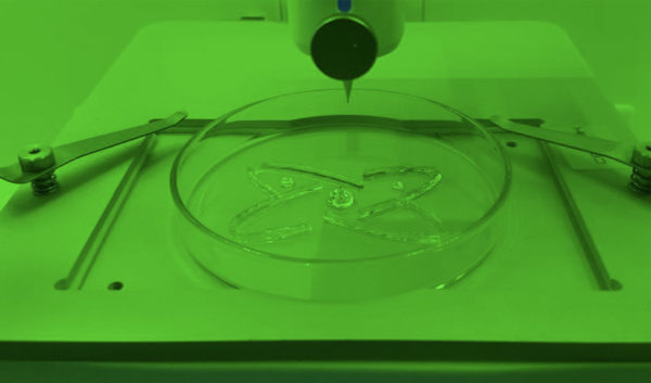 Encouraging results for the 3D printed bionic pancreas project - 3Dnatives