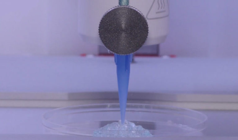 A team of scientists bioprinted a vascularized skin graft - 3Dnatives