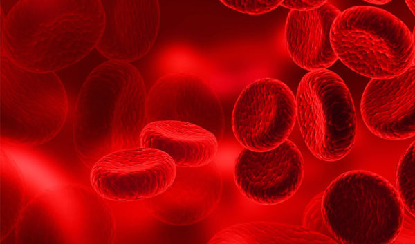 Sciperio aims to bioprint human blood - 3Dnatives