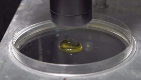 Una nueva técnica de bioimpresión 3D para crear tejidos humanos vascularizados - 3Dnatives