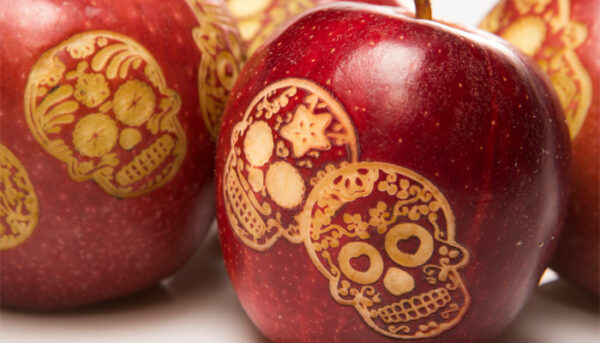 Cocuus y la integración de la tecnología 3D en la producción de ...