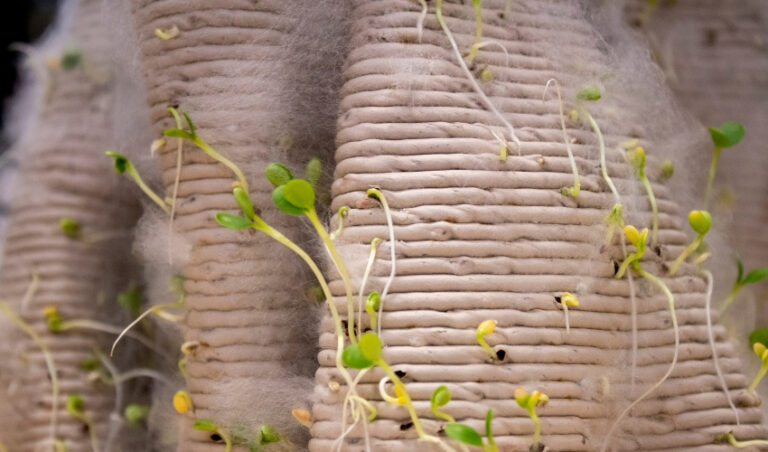 Urban Reef rend les villes plus vertes avec l'impression 3D - 3Dnatives