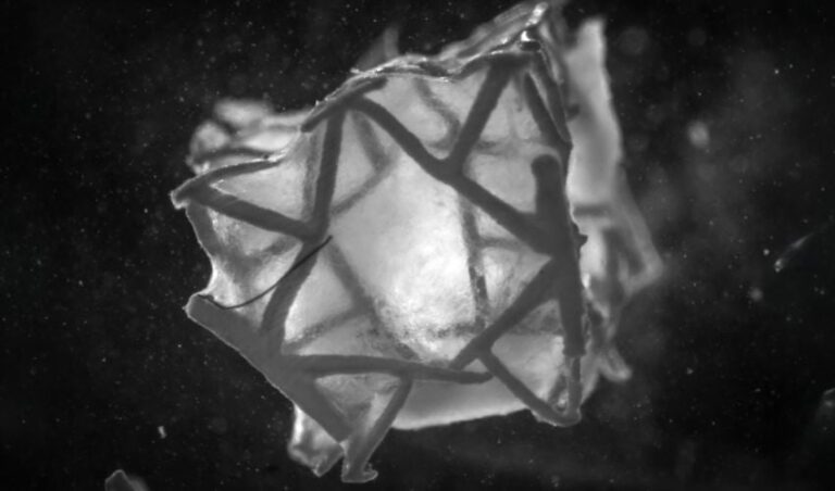 Un nouveau patch cardiaque imprimé en 3D à l'ETH Zurich - 3Dnatives